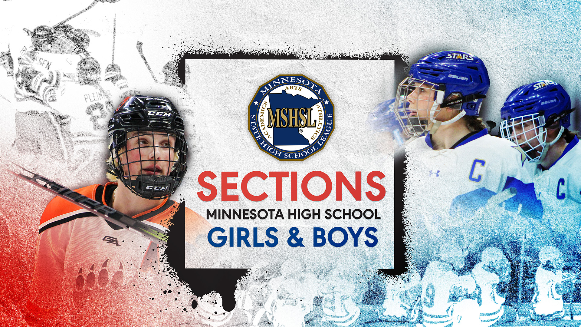 mshsl-sections