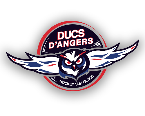 Synerglace Ligue Magnus