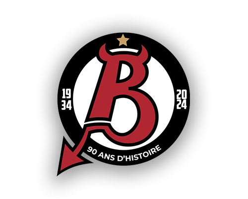 Synerglace Ligue Magnus