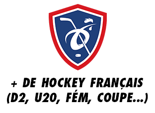 Ice Hockey - Fanseat