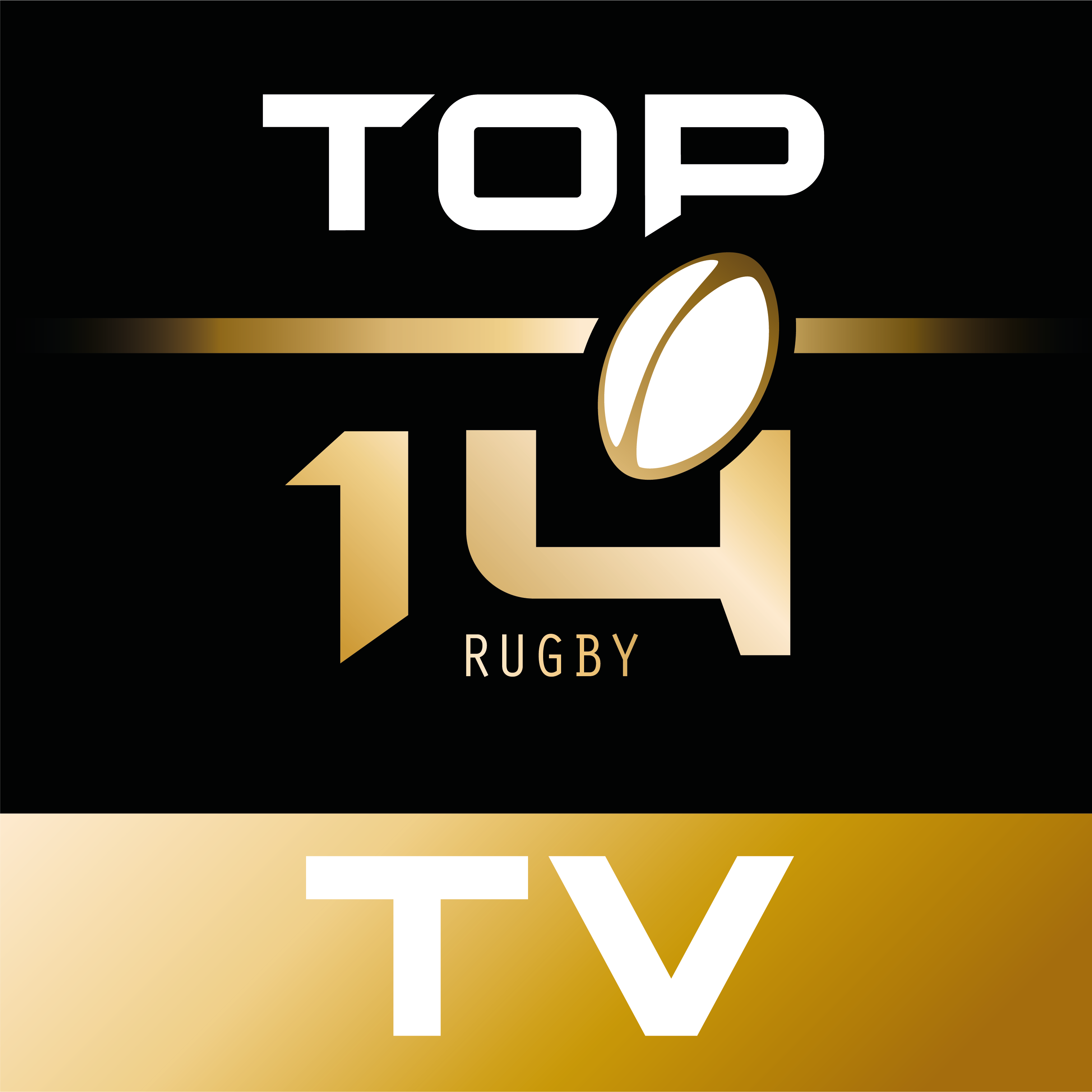 Stade Toulousain - Watch live matches, replays and highlights on TOP 14 ...
