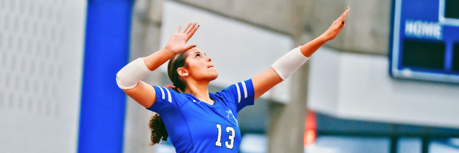 Volleyball Sections: Schedules, streaming info and more as Lake ...